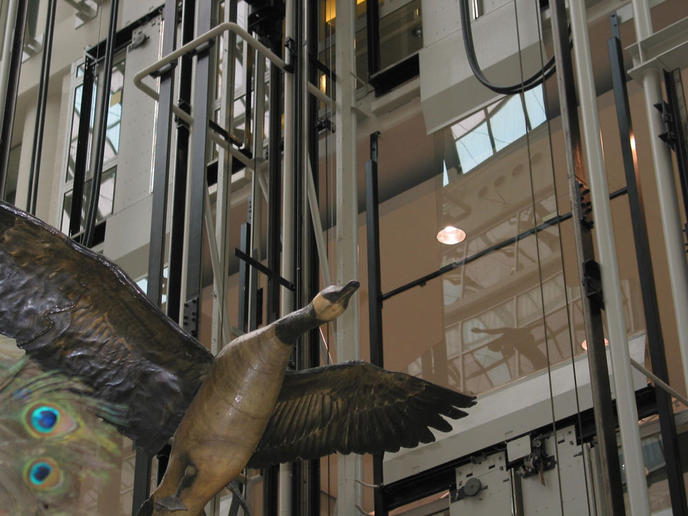 ACO Toronto - Eaton Centre