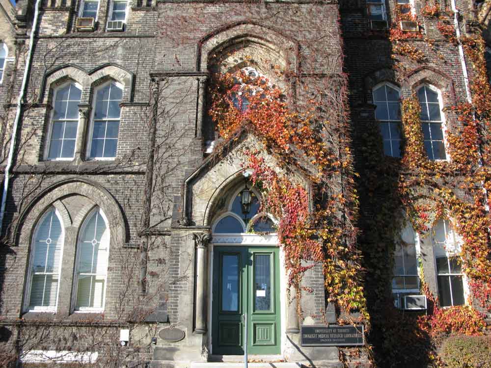 ACO Toronto - University of Toronto St. George Campus; Daniels Building