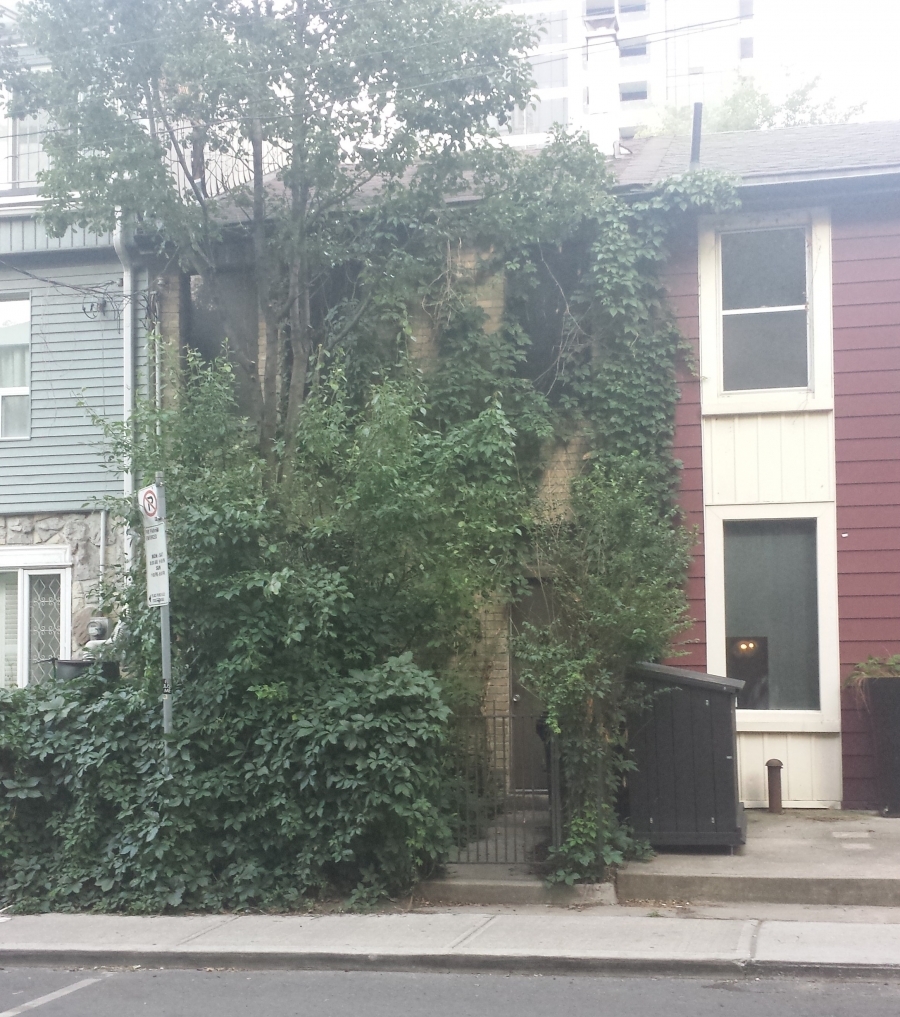 ACO Toronto - 17 Irwin Avenue
